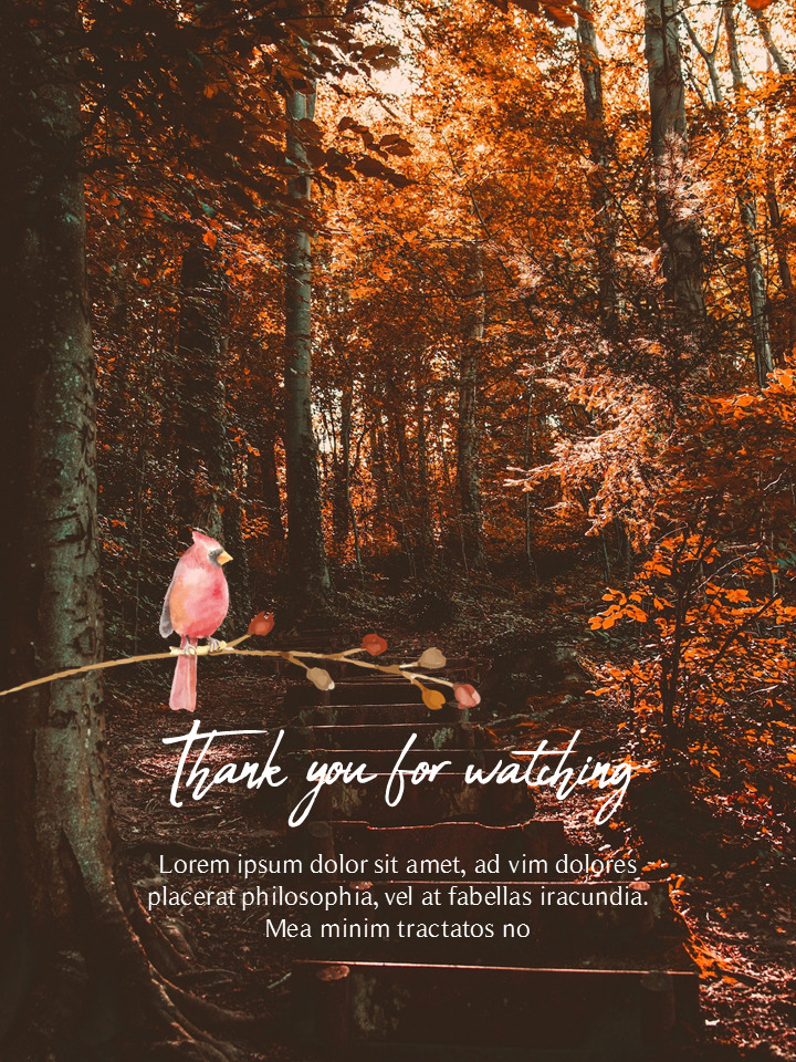 Autumn Season Presentation PPT