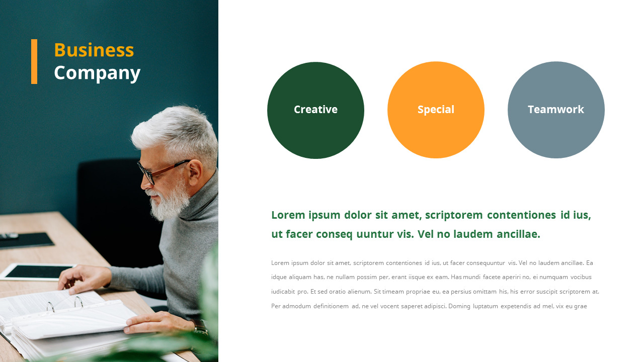 Effective Business Introduction Action plan PPT