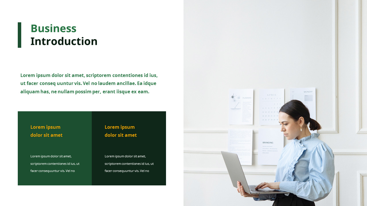 Effective Business Introduction Action plan PPT