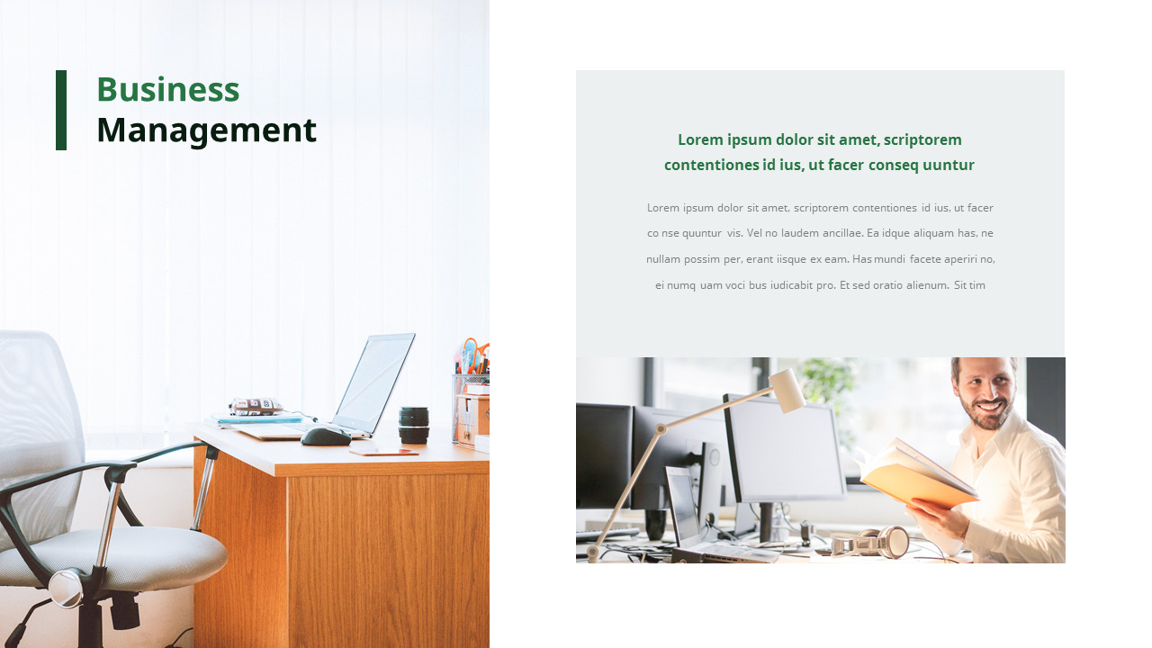 Effective Business Introduction Action plan PPT