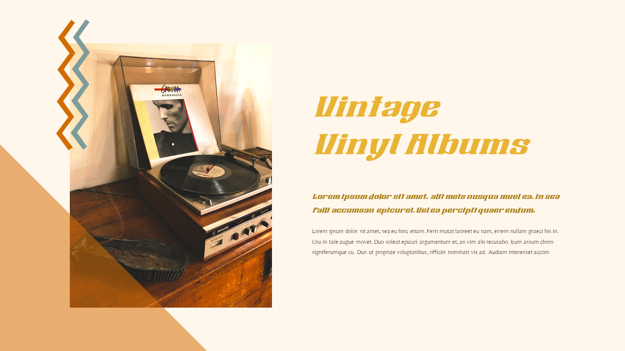 Retro Vinyl Collection Theme PPT Templates