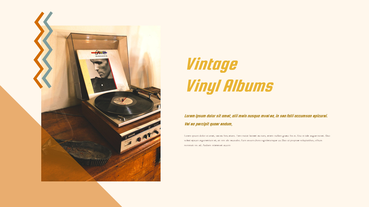 Retro Vinyl Collection Creative Google Slides