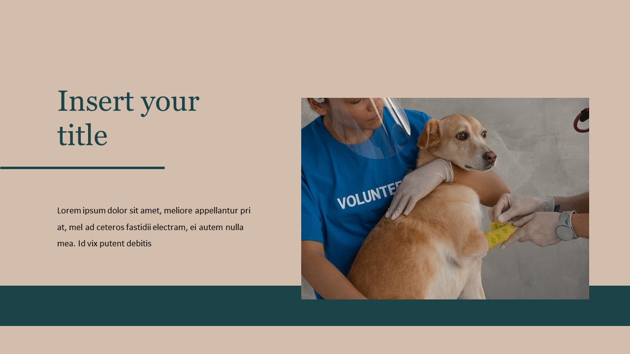 Veterinary Clinic Google Slides Templates for Your Next Presentation ...