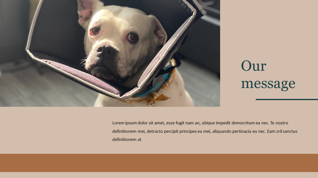 Veterinary Clinic Google Slides Templates for Your Next Presentation ...