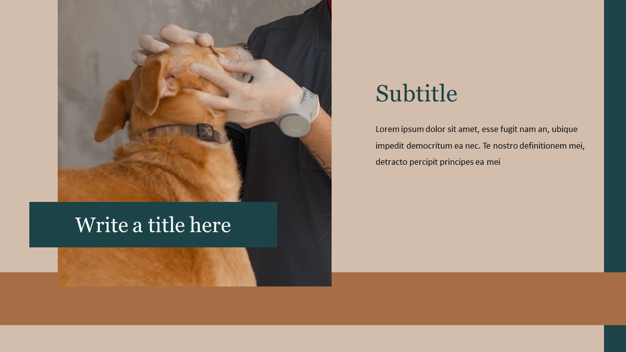 Veterinary Clinic Google Slides Templates for Your Next Presentation ...