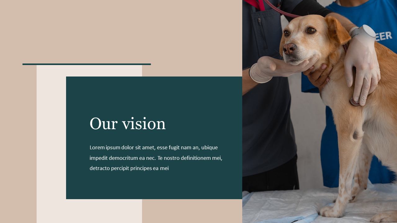 Veterinary Clinic Google Slides Templates for Your Next Presentation ...