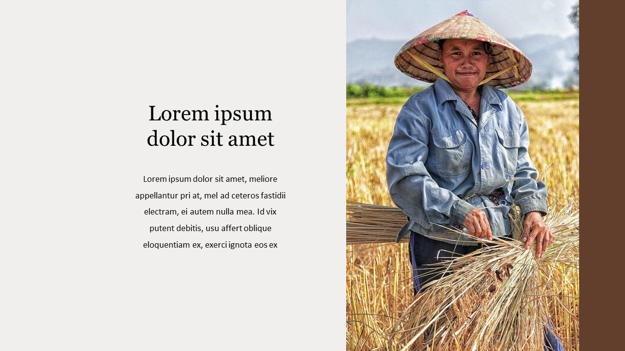 Farming Harvest Theme PPT Templates|Lifestyle
