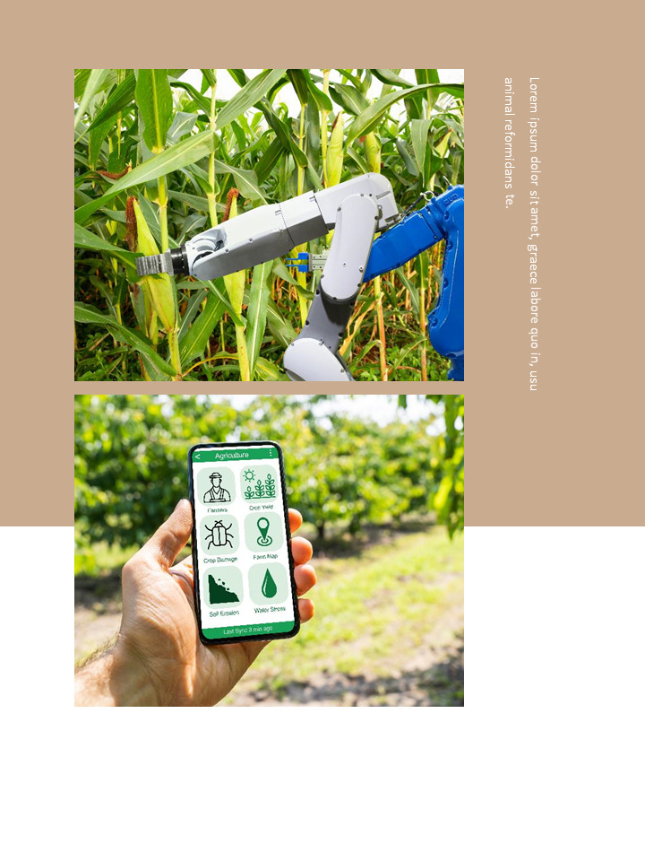 Smart Farming Creative Google Slides
