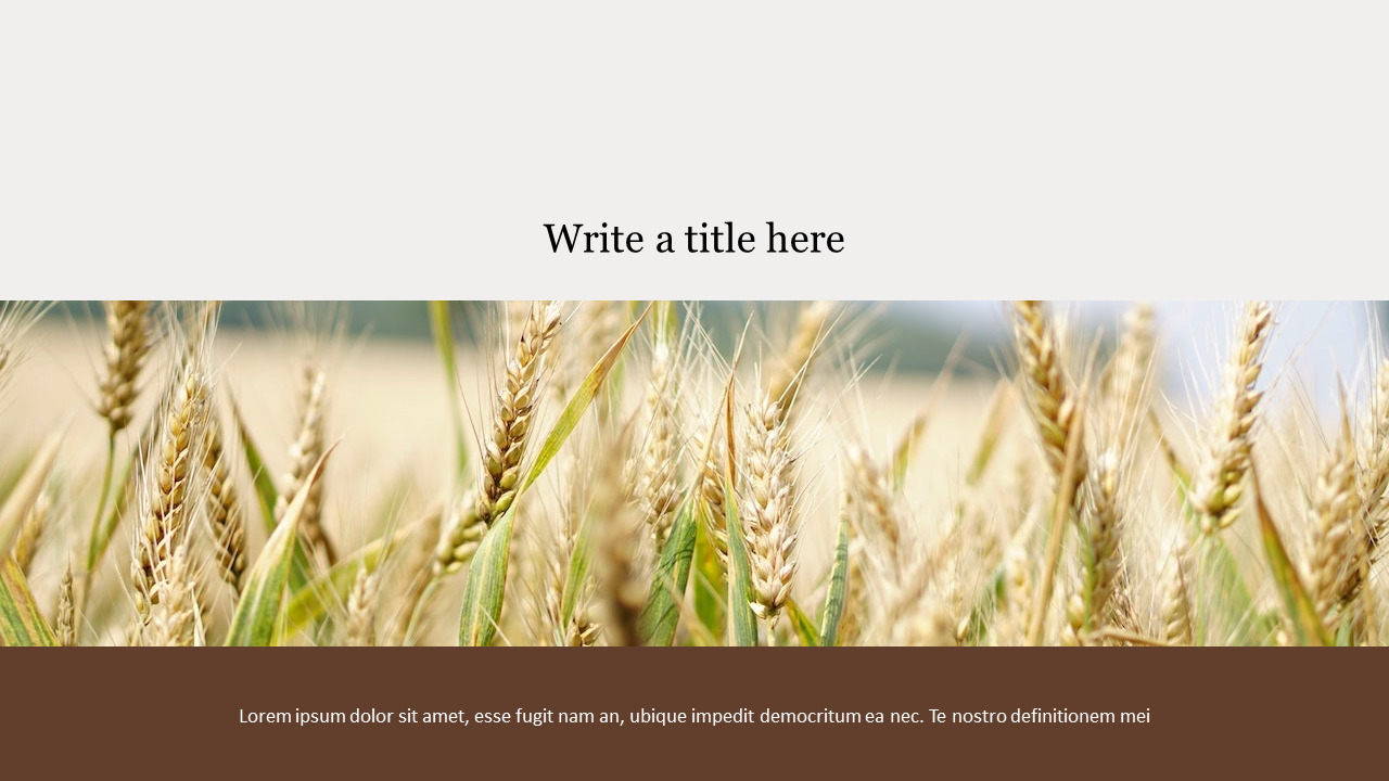 Farming Harvest Google PPT Templates|Lifestyle|Slides