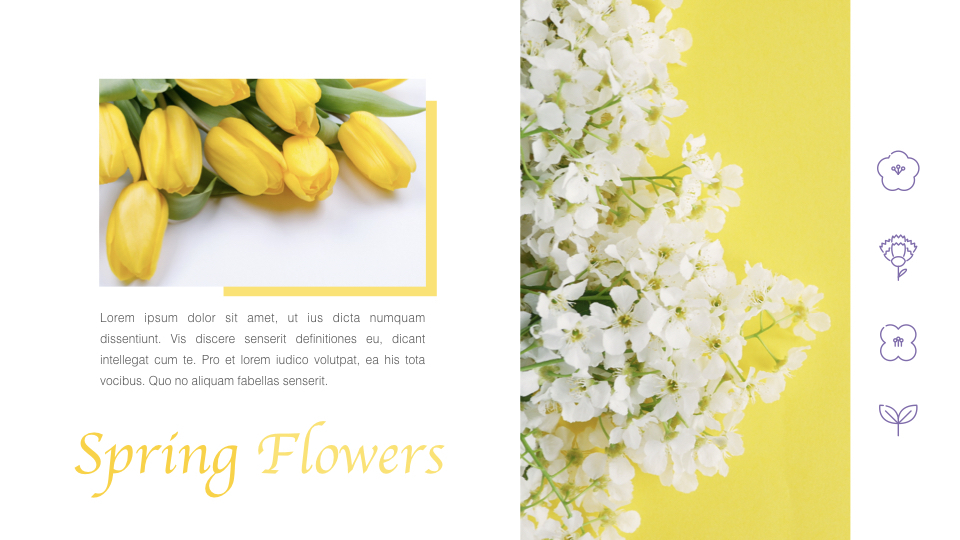 Spring Flowers Keynote Presentation Template