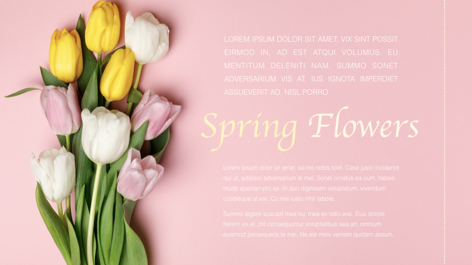 Spring Flowers Keynote Presentation Template