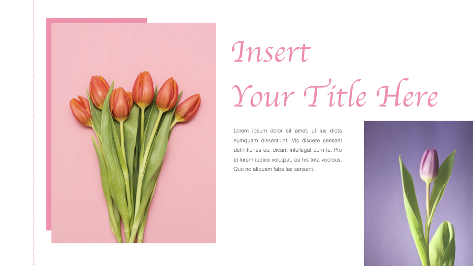 Spring Flowers Keynote Presentation Template