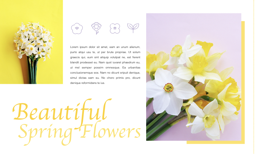 Spring Flowers Keynote Presentation Template