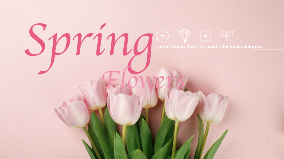 Spring Flowers Keynote Presentation Template