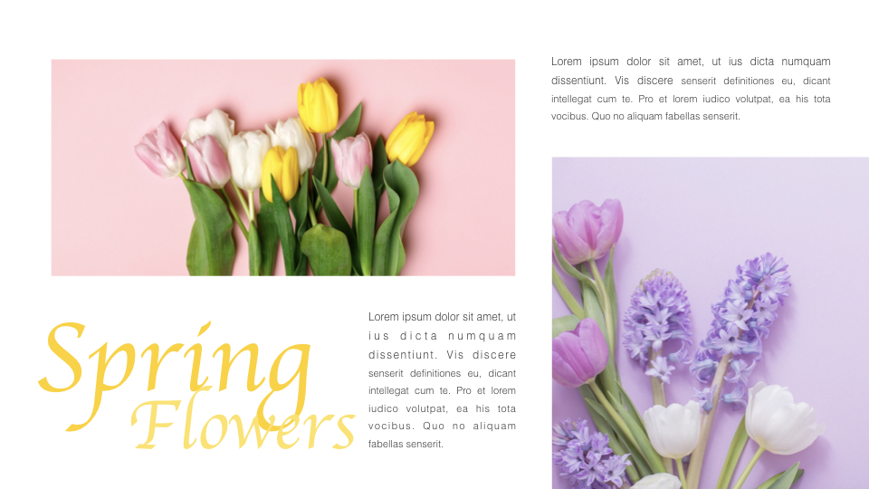 Spring Flowers Keynote Presentation Template