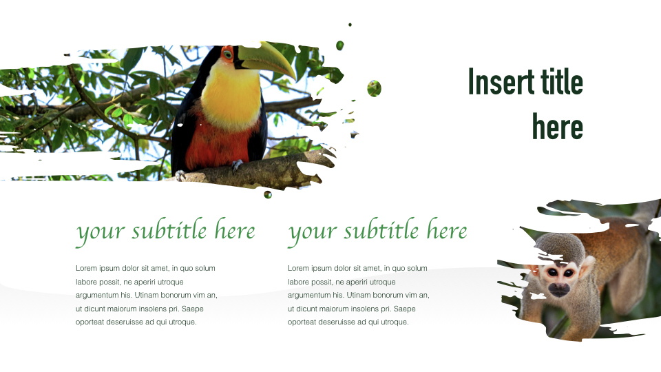 Viva Brazil Keynote Presentation Template