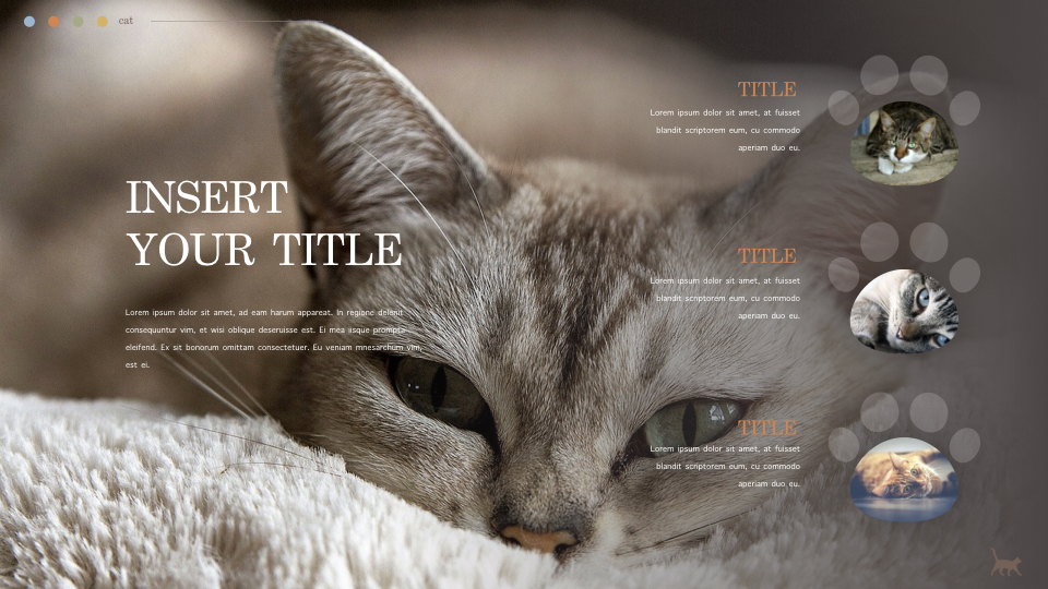 Cat Keynote Presentation Template