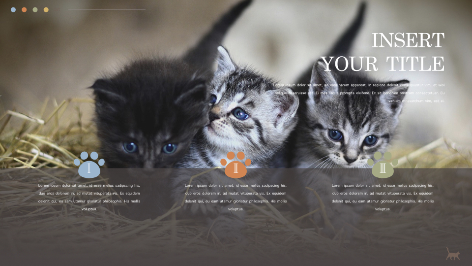 Cat Keynote Presentation Template