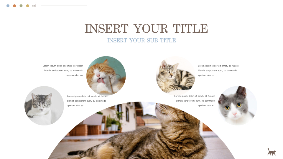 Cat Keynote Presentation Template
