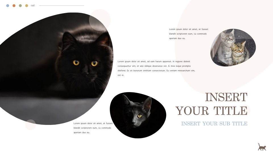 Cat Keynote Presentation Template