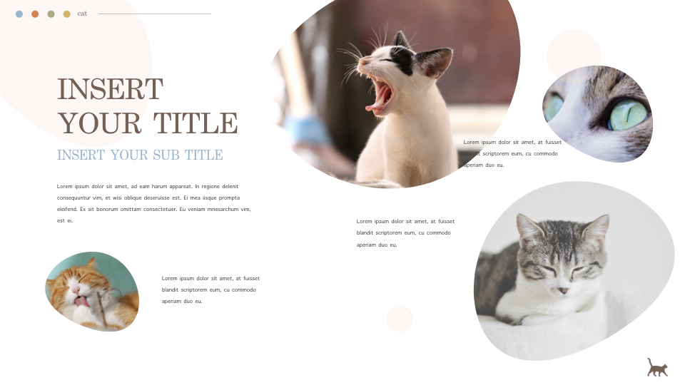 Cat Keynote Presentation Template