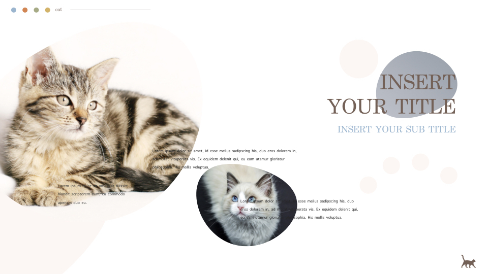 Cat Keynote Presentation Template