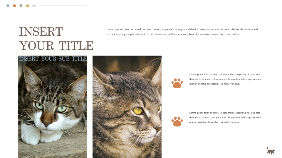 Cat Keynote Presentation Template