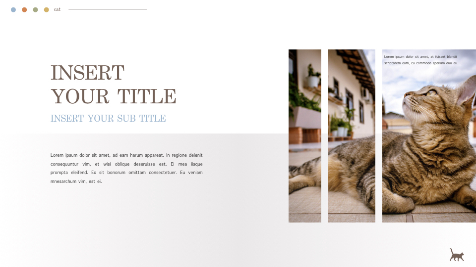 Cat Keynote Presentation Template