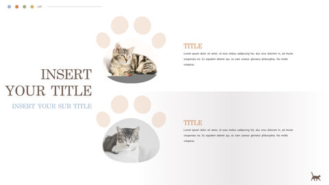 Cat Keynote Presentation Template
