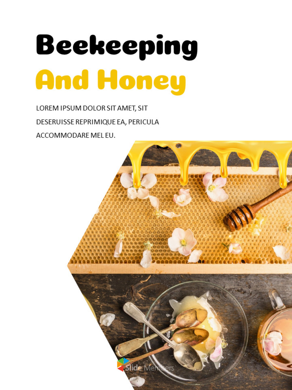 Beekeeping and Honey slides presentation
