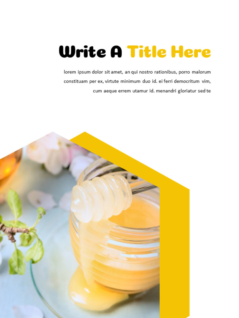 Beekeeping and Honey slides presentation