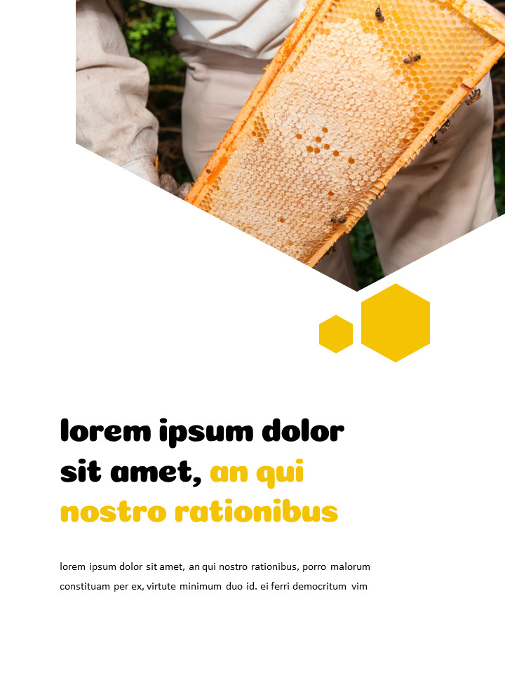 Beekeeping and Honey slides presentation