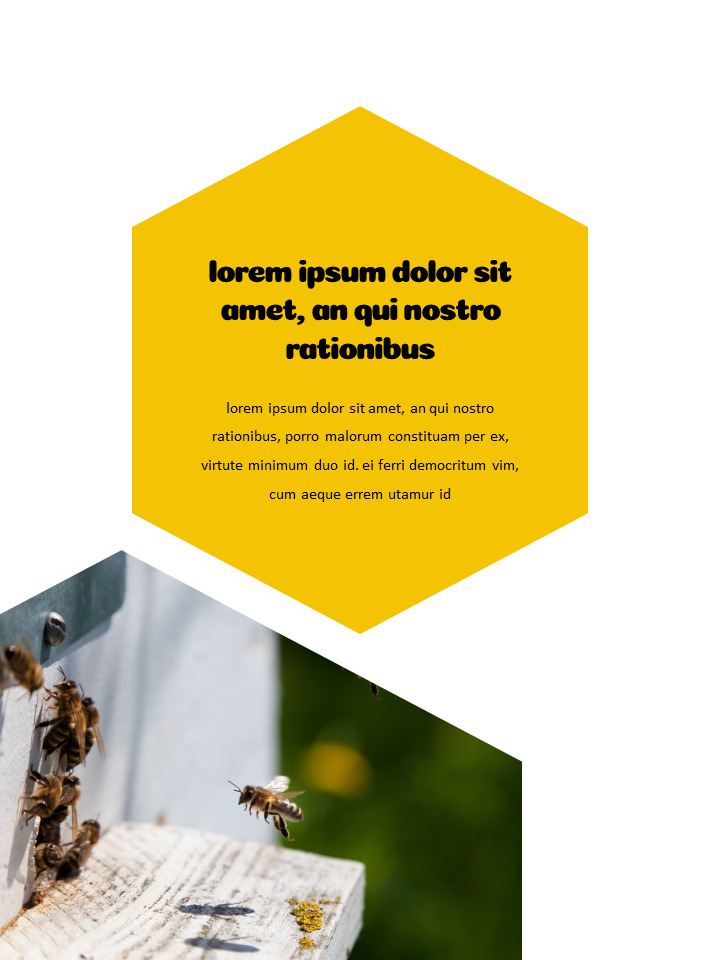 Beekeeping and Honey slides presentation