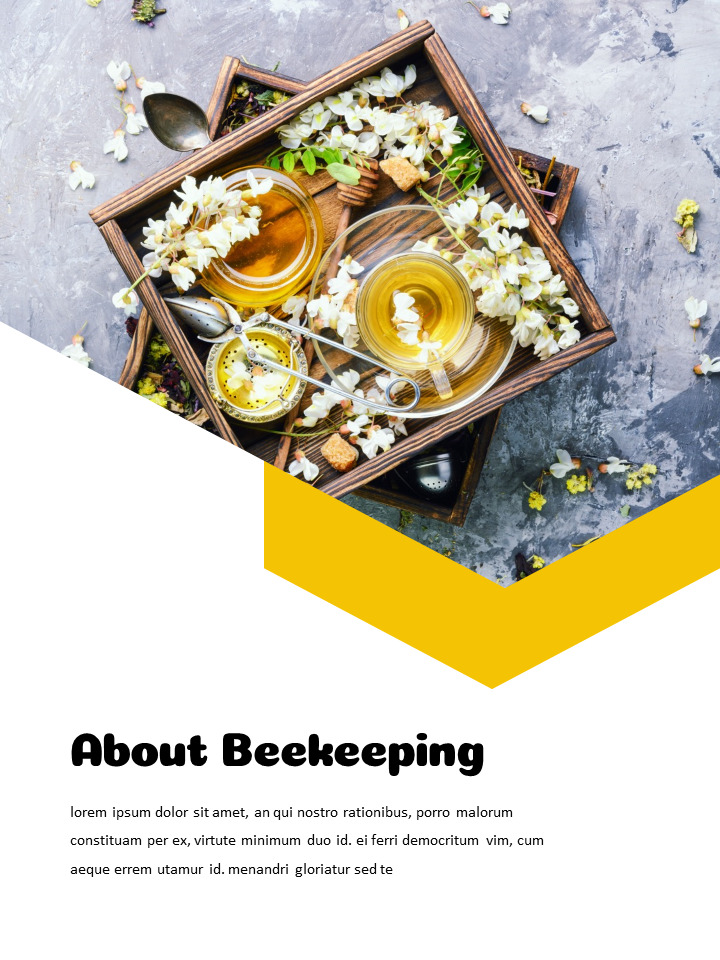 Beekeeping and Honey slides presentation