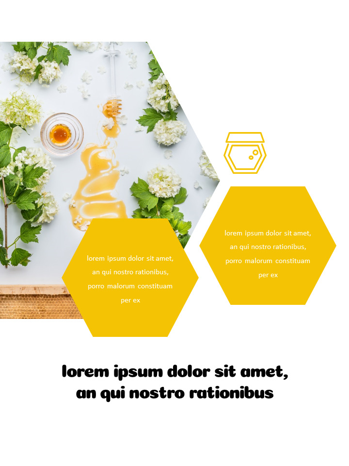 Beekeeping and Honey slides presentation