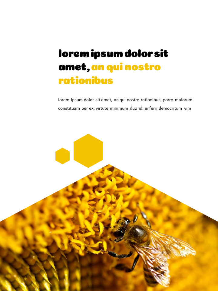 Beekeeping and Honey slides presentation