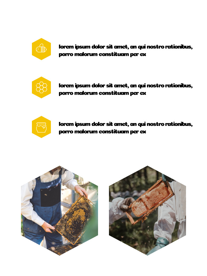 Beekeeping and Honey slides presentation