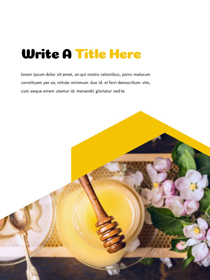 Beekeeping and Honey slides presentation