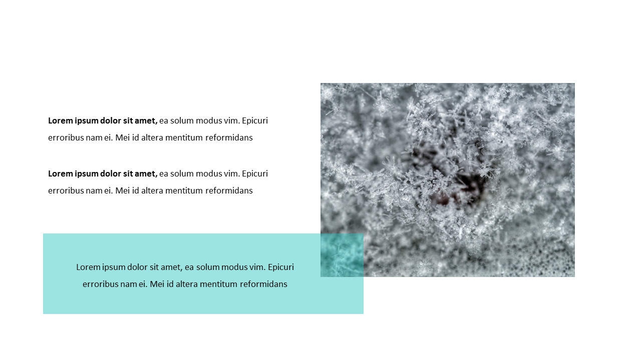 Snow template design|Construction|PPT