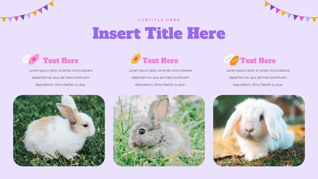 Year of the Rabbit presentation template
