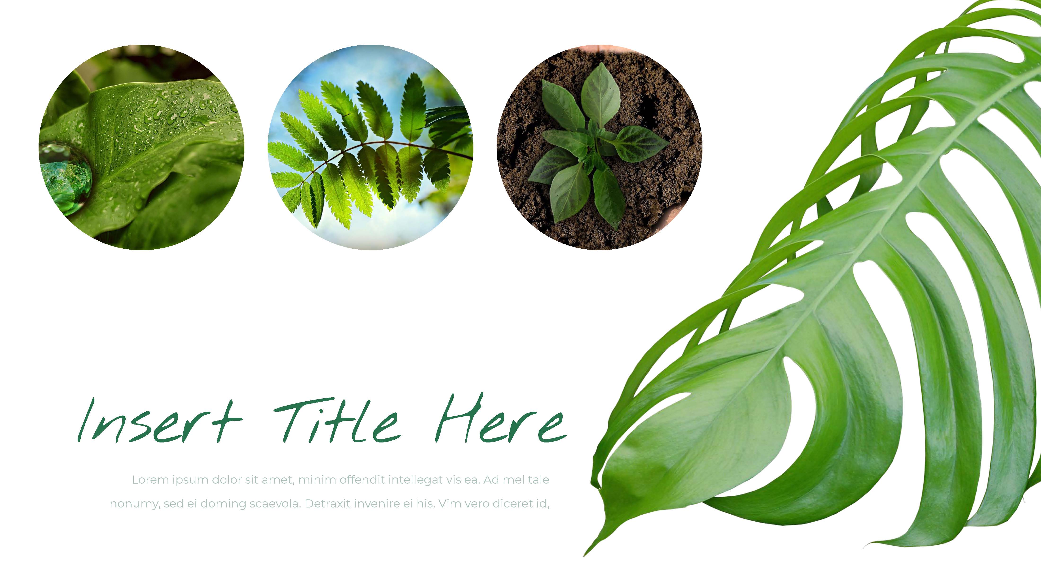 Botanical Google Slides Themes for Presentations