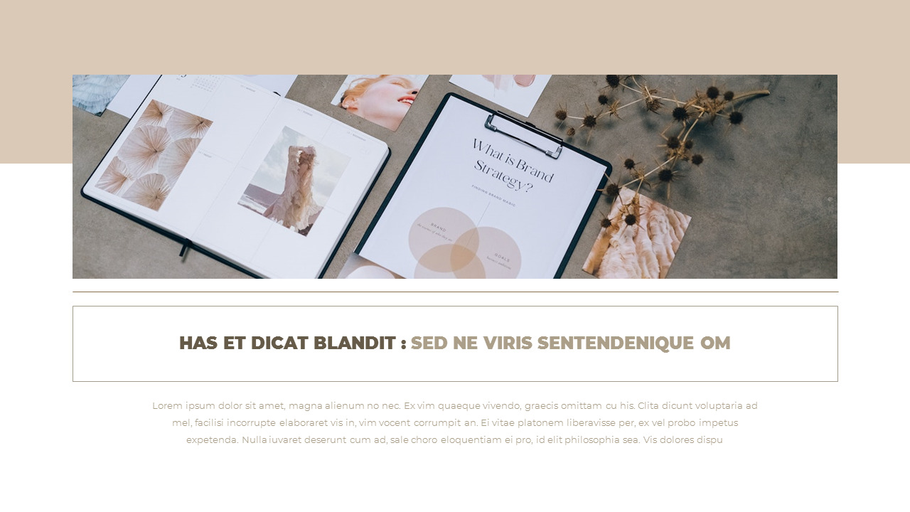 Self Introduction for Portfolio ppt templates google slides template