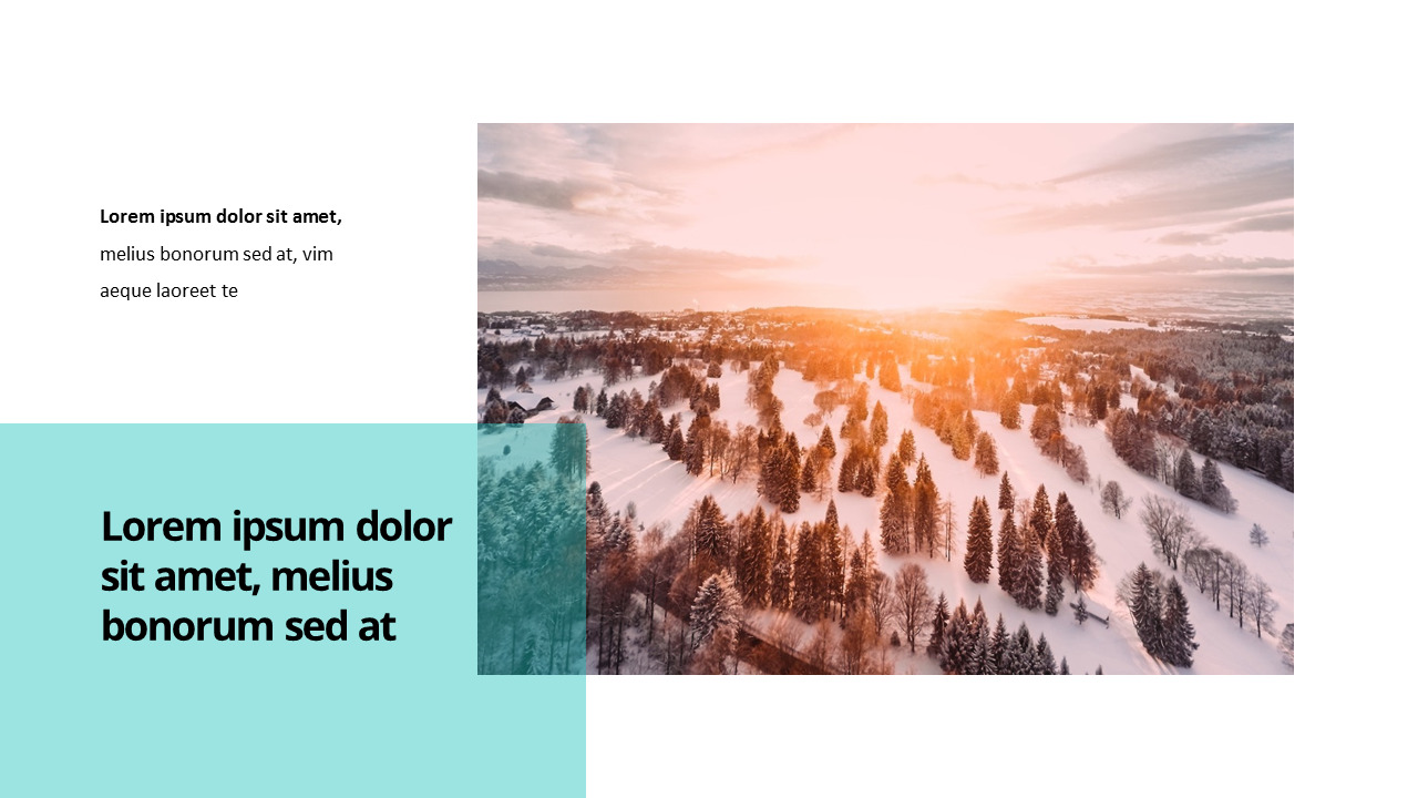 Snow Easy Slides Design|Construction|Google