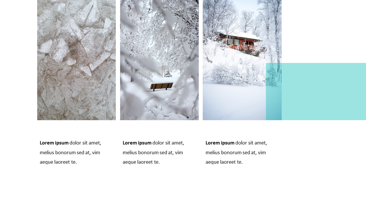 Snow Easy Slides Design|Construction|Google