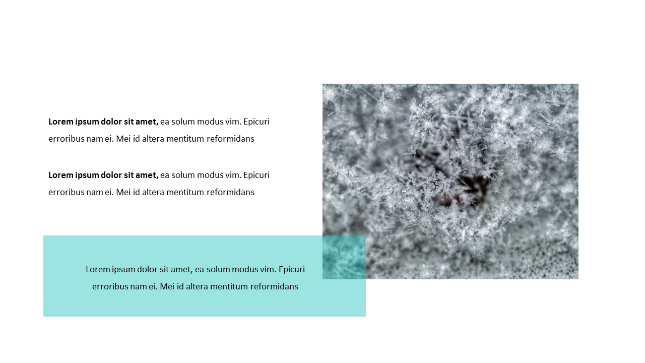 Snow Easy Slides Design|Construction|Google