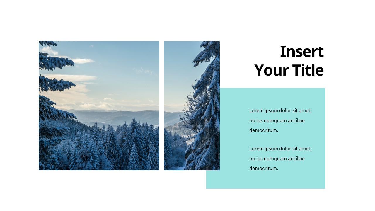 Snow Easy Slides Design|Construction|Google