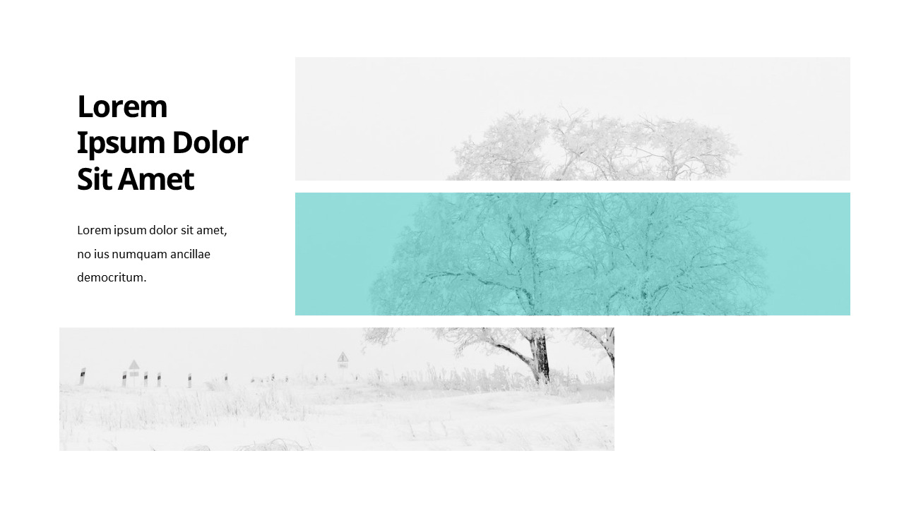 Snow Easy Slides Design|Construction|Google