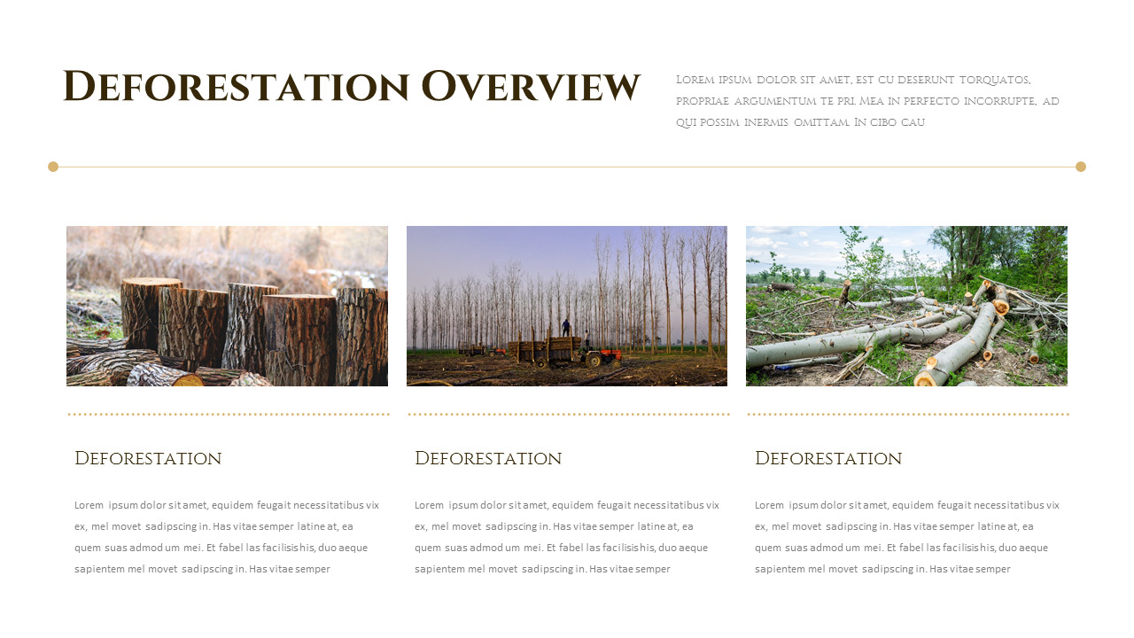 Logging and Deforestation developing powerpoint|Lifestyle|Templates