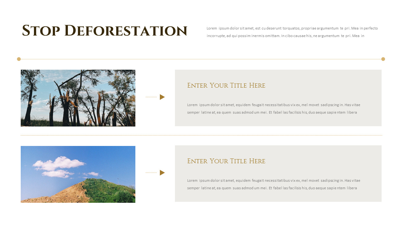 Logging and Deforestation developing powerpoint|Lifestyle|Templates