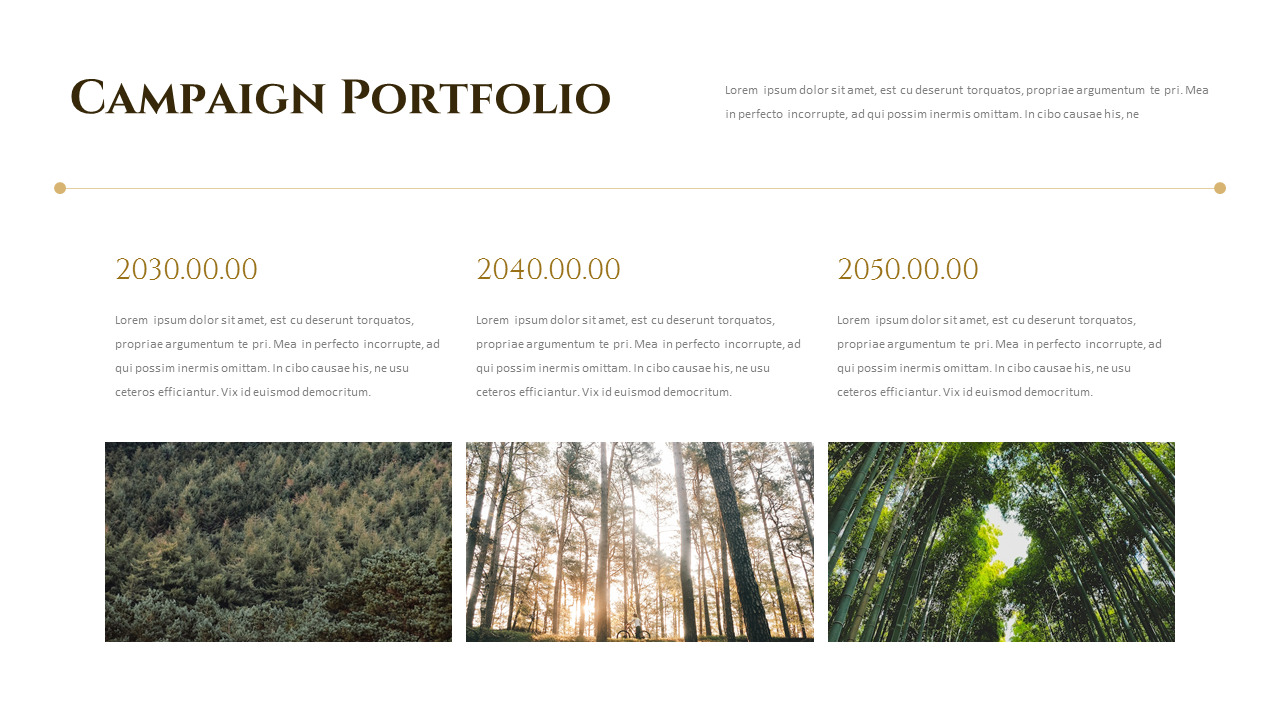 Logging and Deforestation developing powerpoint|Lifestyle|Templates